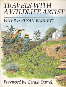 A new writing experiment | Susan Barrett