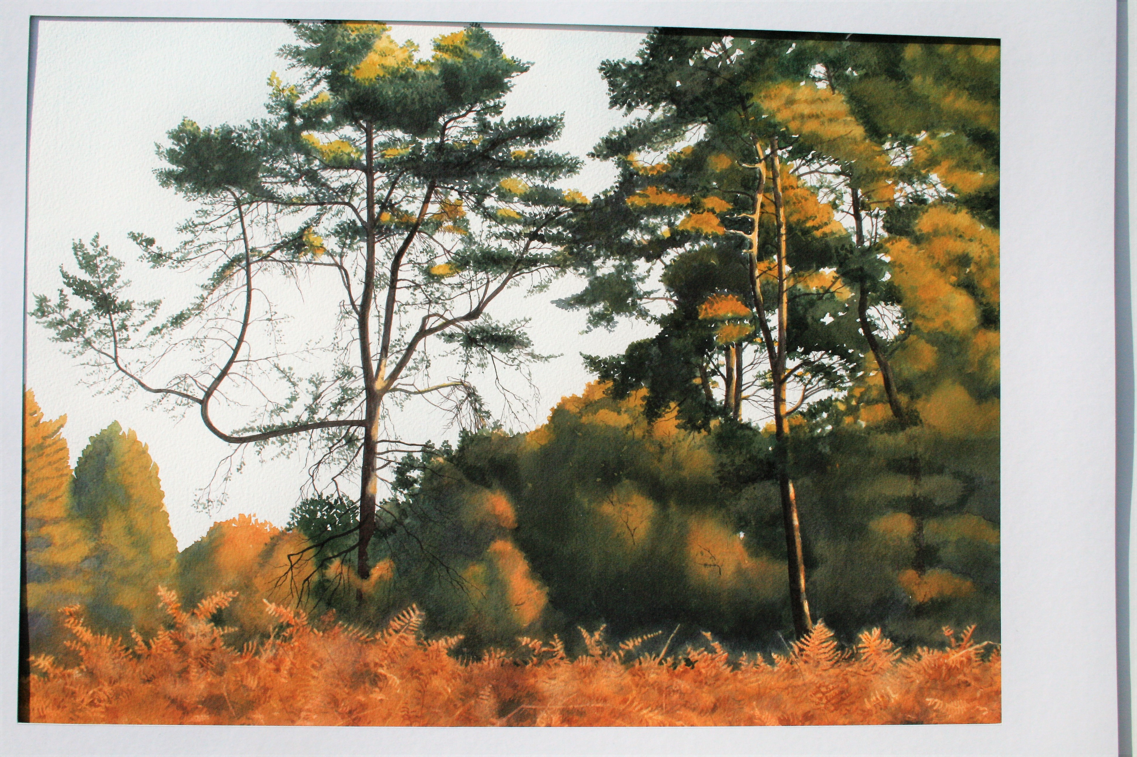 Peter Barrett | Susan Barrett