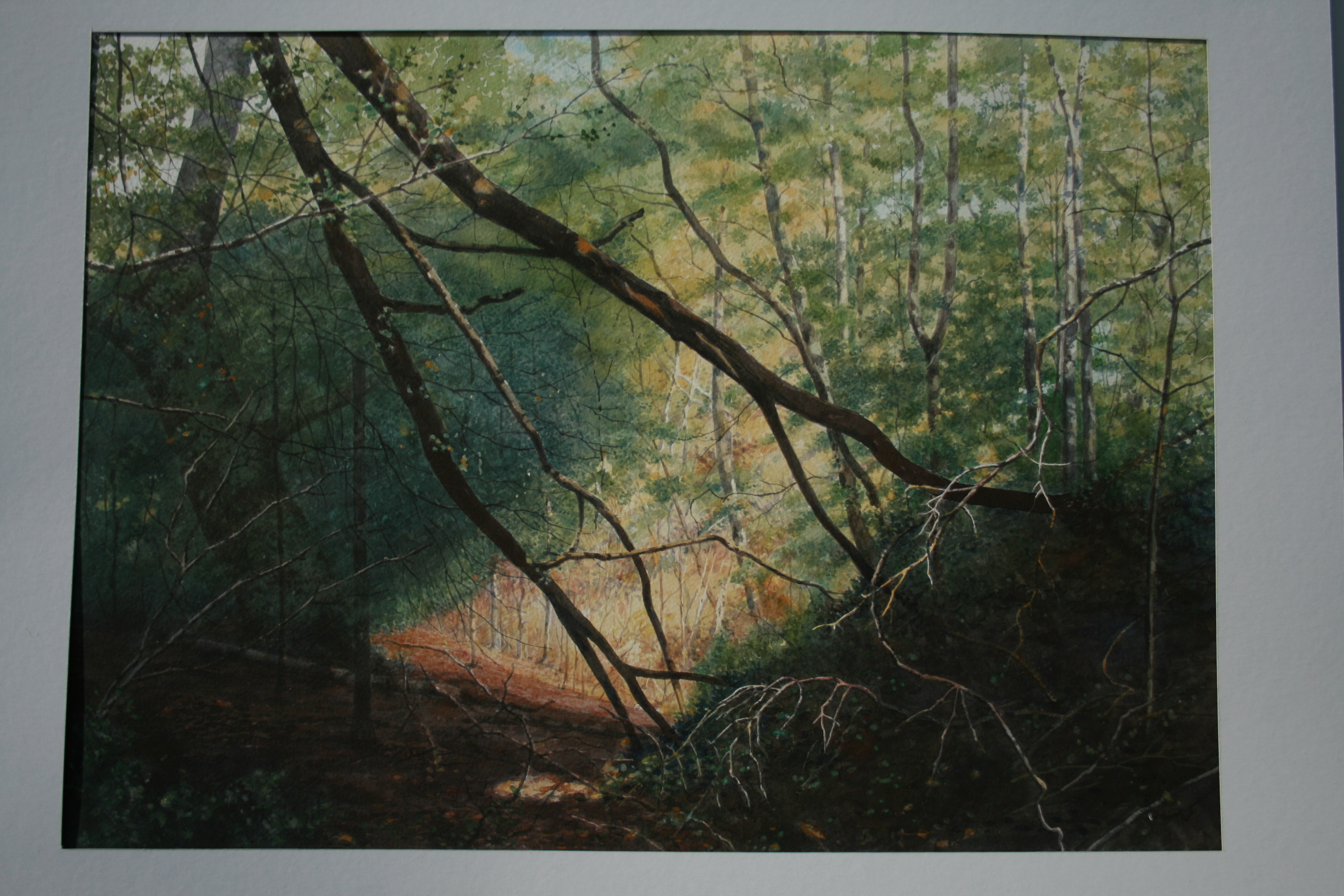 Peter Barrett | Susan Barrett